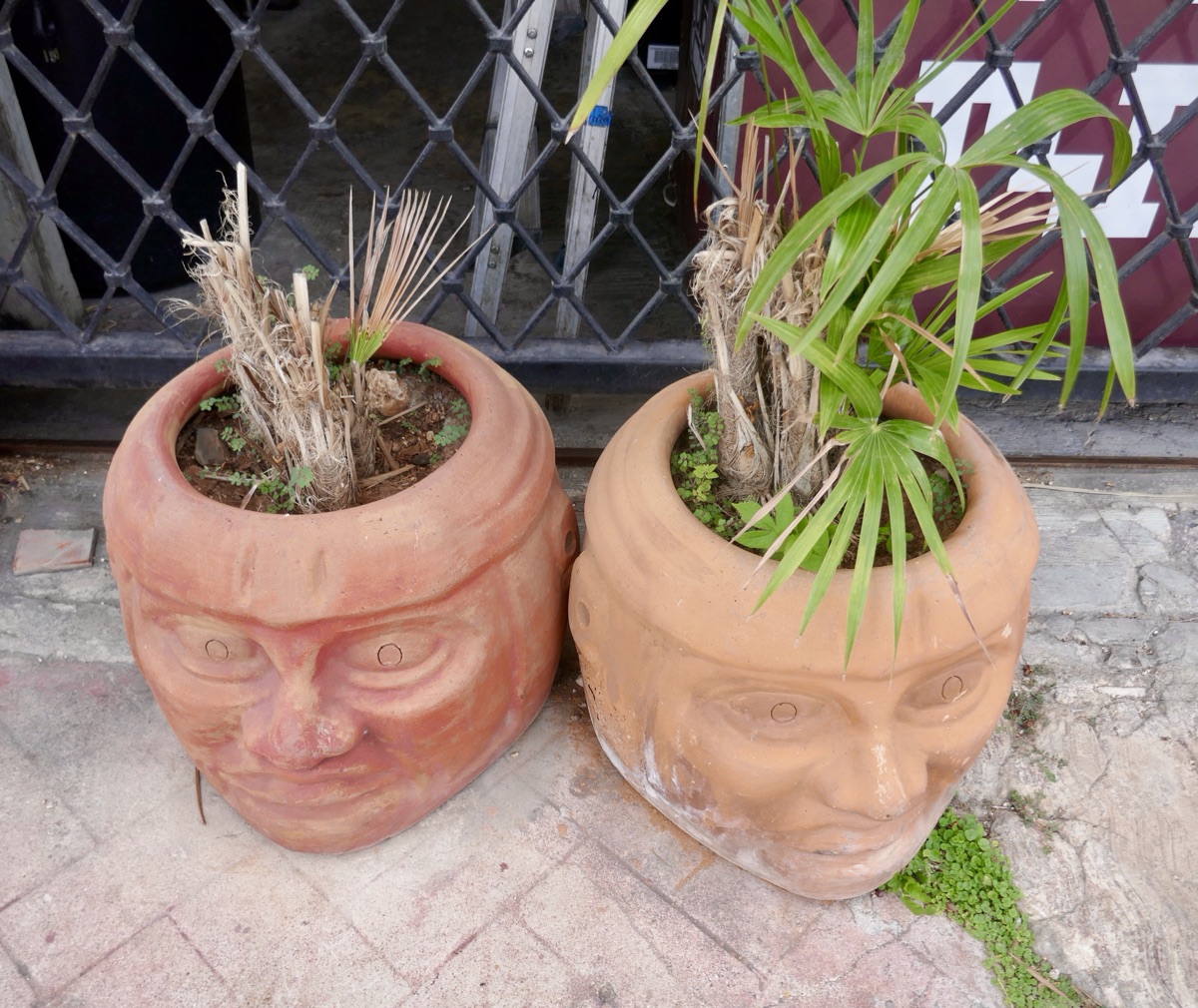 Merida – Chris Godman