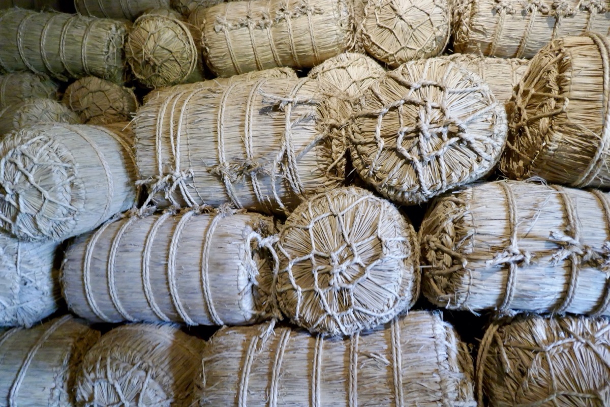 Takayama Old Town and Shirakawa – Chris Godman