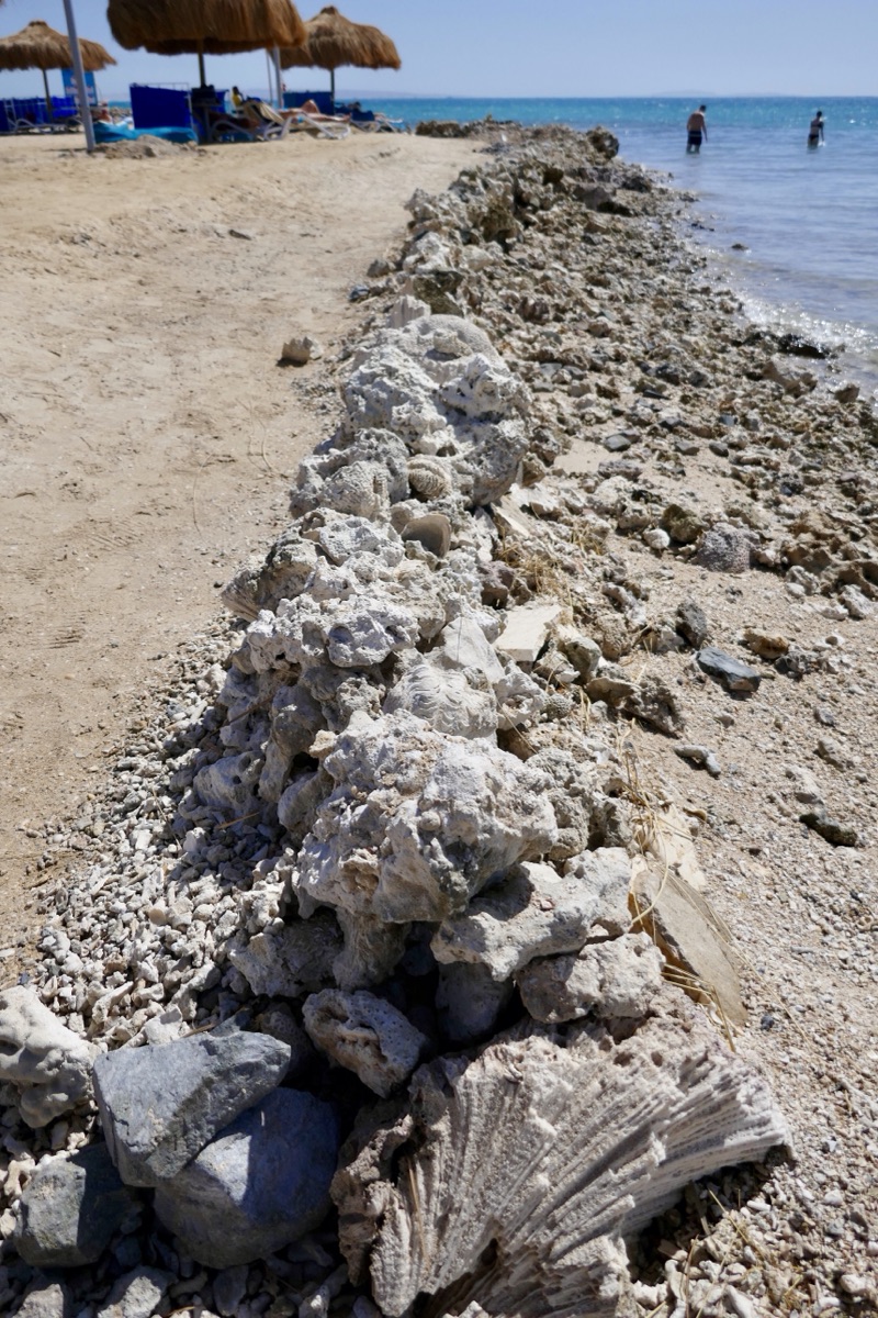 Hurghada~Gravity Resort and Aqua Park – Chris Godman